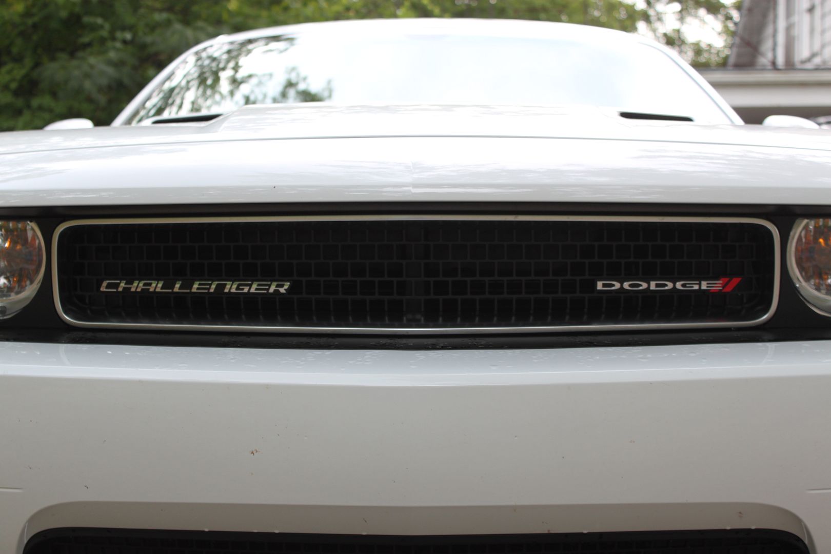 Dodge Badge | Dodge Challenger Forum